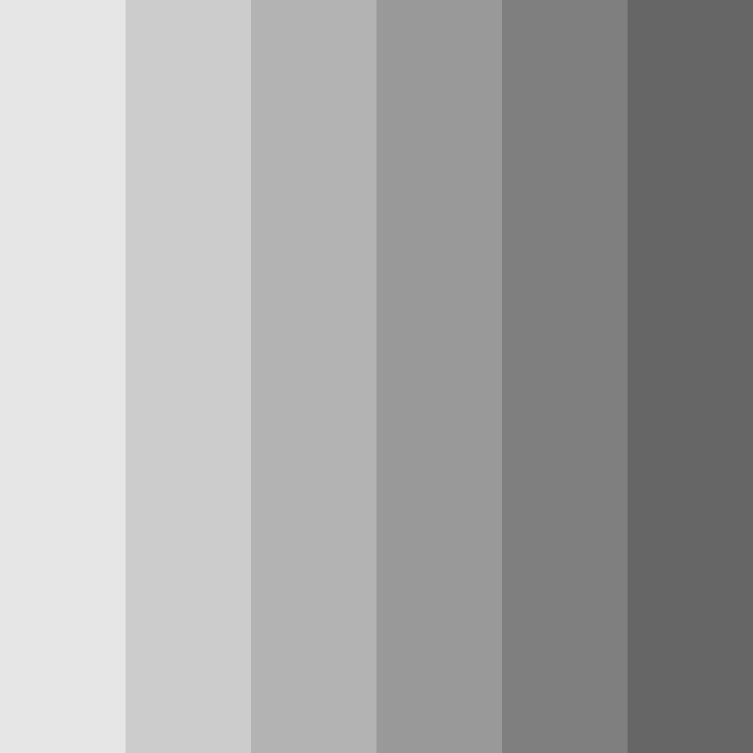 Shades of Gray Color Palette - ColorDrop