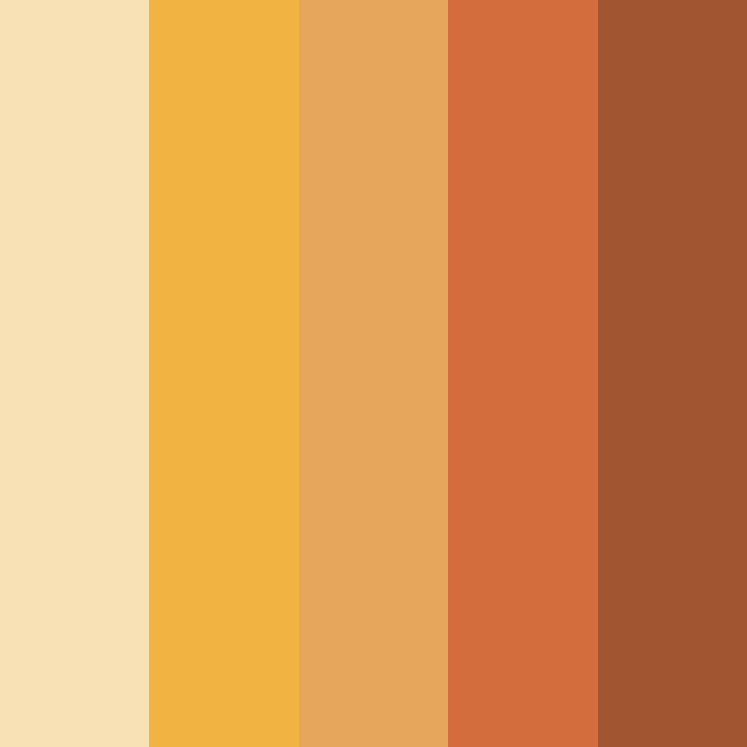 Warm Orange Color Palette - ColorDrop