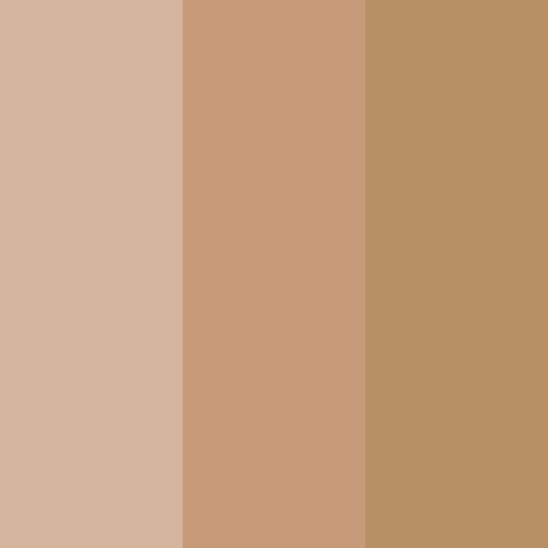 Warm Brown Color Palette - ColorDrop