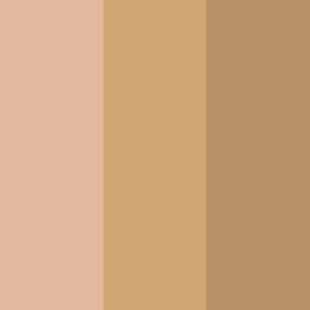 Warm Brown Color Palette - ColorDrop
