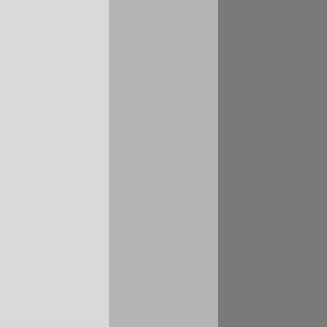 Gray Shades Color Palette - ColorDrop