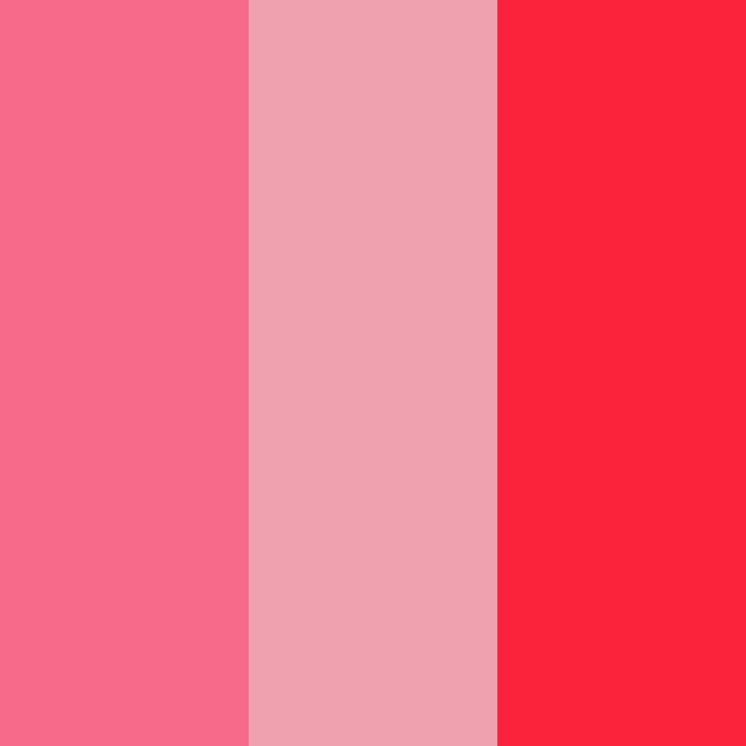 Bright Red Color Palette - ColorDrop